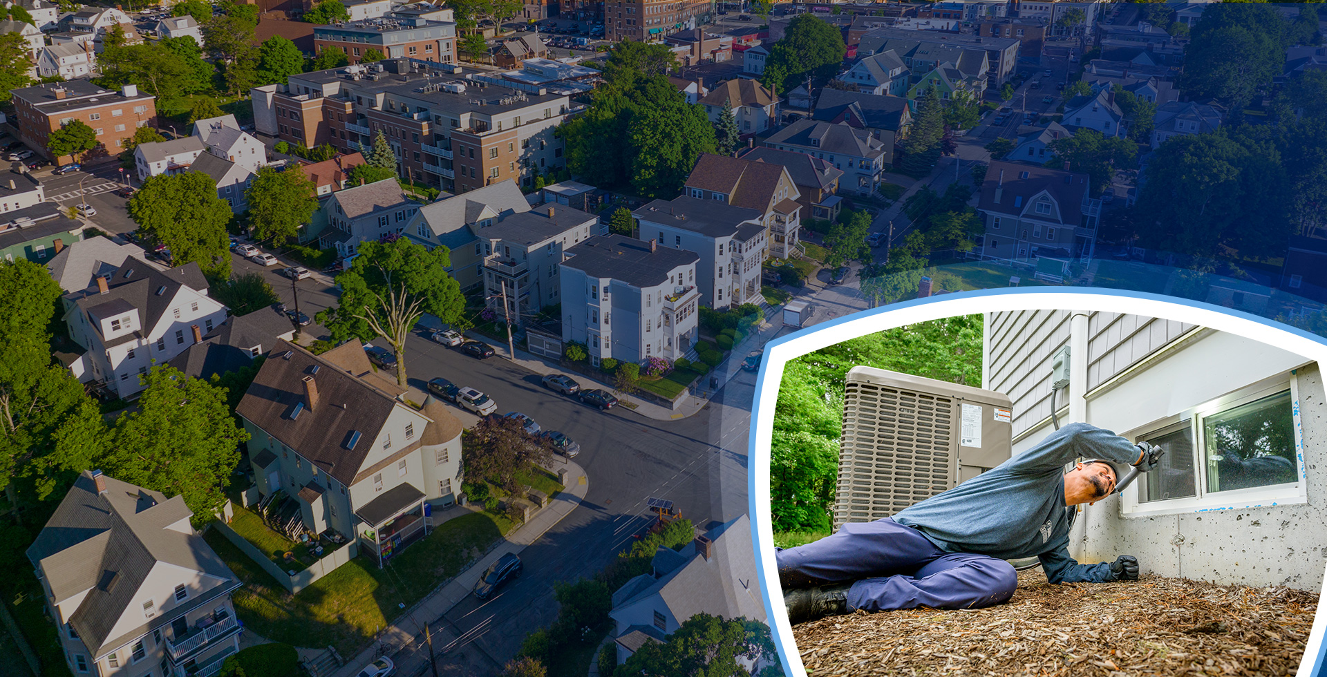 Pest Control in Waltham, MA | Assurance Pest Solutions