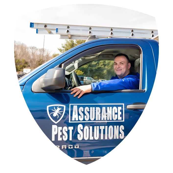Home Pest Control In Massachusetts | Assurance Pest Solutions